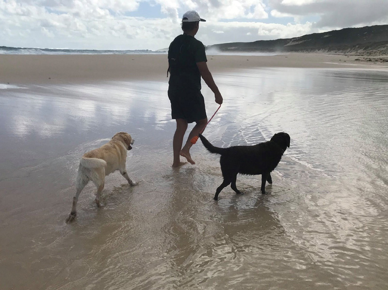 2020 Gary Gibbon with labradors Milly and Toffee at Margaret River ...